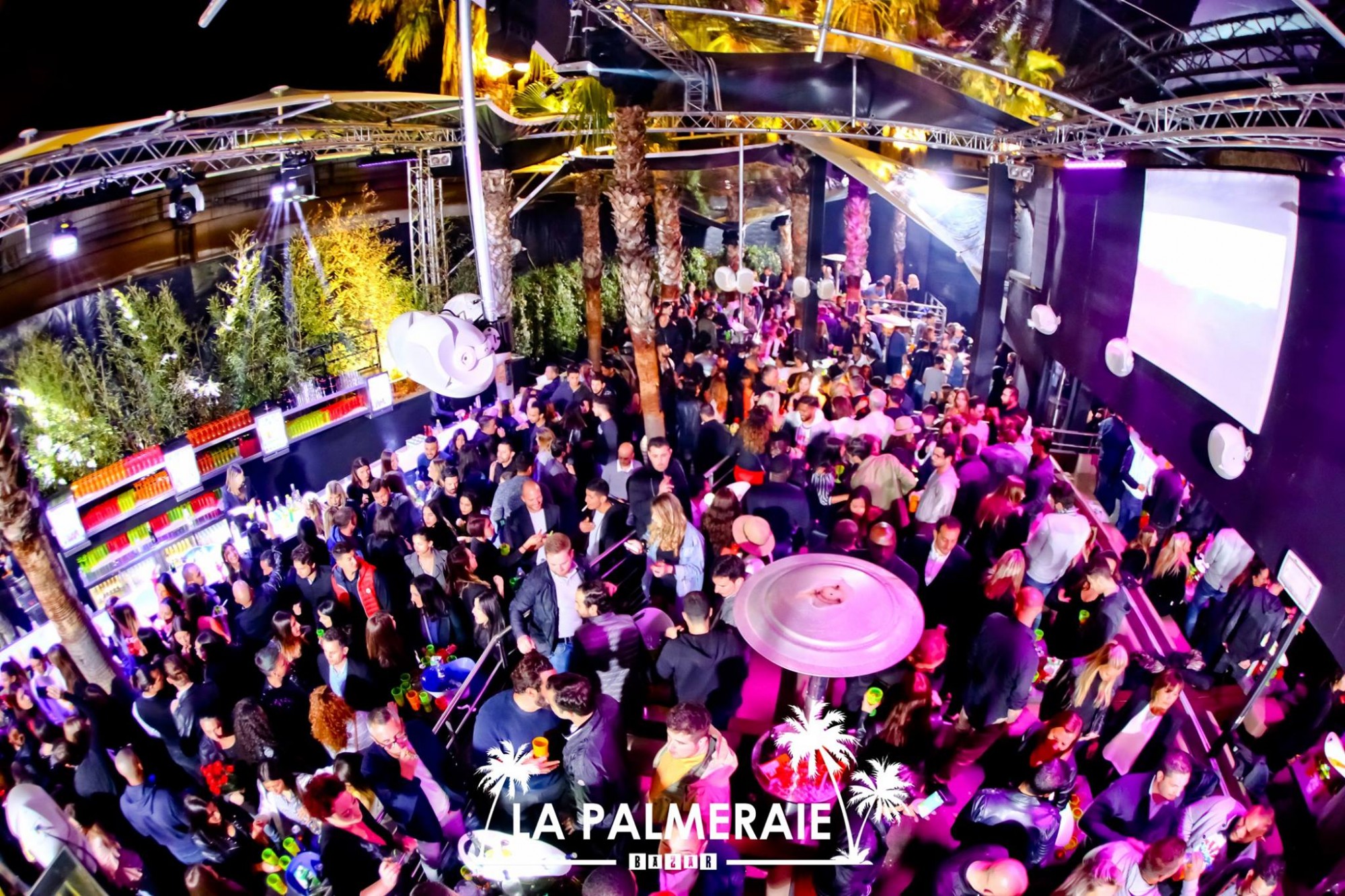 Un verre a la palmeraie - OnVaSortir! Marseille